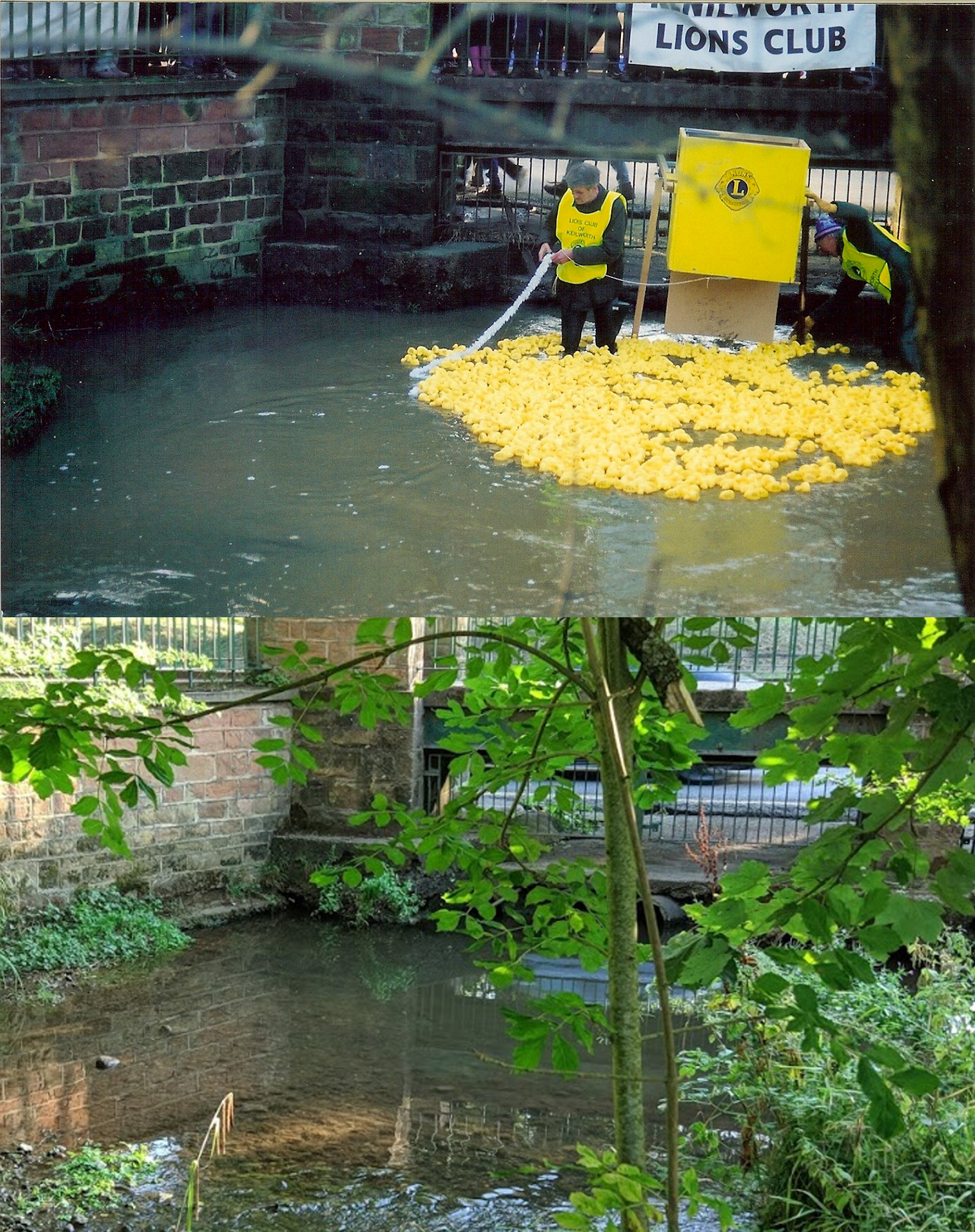 The Duck Race - Then & Now - The Kenilworth History & Archaeology Society